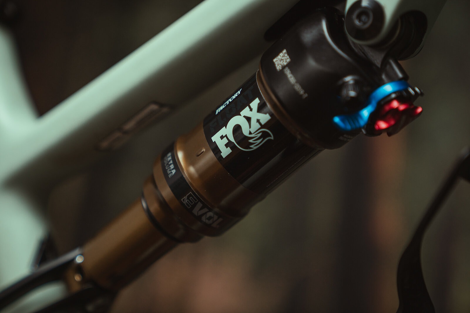 Bike Review | Specialized Epic 8 Evo Pro | Freehub Magazine